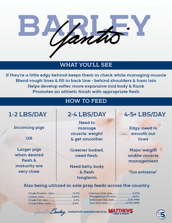 Yantis Barley – Matthews Feed and Grain